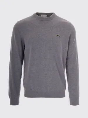 Lacoste Jumper Colour - Silver