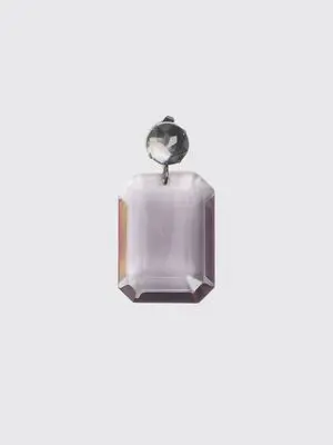 Fabiana Filippi Resin Earrings With Rhinestones