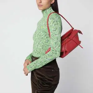 Loewe Small Whisker Bag In Carmine Leather - Red