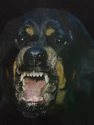 Givenchy Rottweiler-print Jersey Hoodie