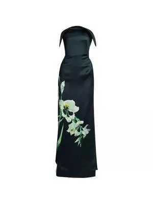 Erdem Floral-print Bustier Maxi Gown