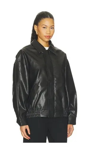Lioness Kenny Bomber In . Also