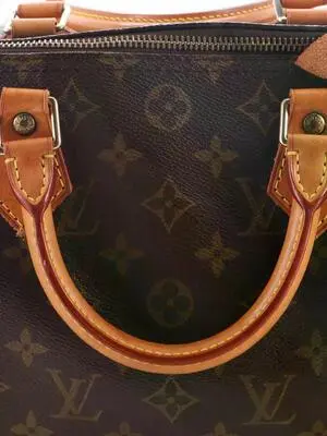 LOUIS VUITTON Speedy Handbag Monogram Canvas 30 Satchel