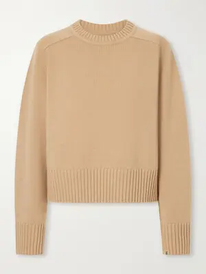 Extreme Cashmere Please Cashmere Turtleneck Sweater - Brown