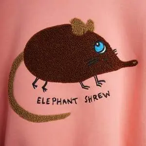 MINI RODINI Organic Cotton Sweatshirt - Pink