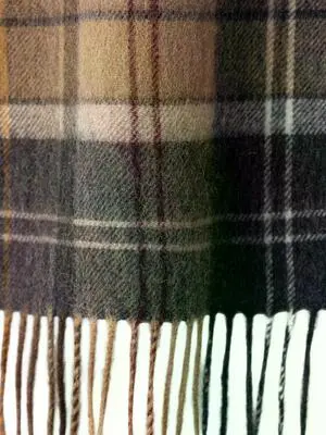 Barbour Serena Tartan Fringed Scarf