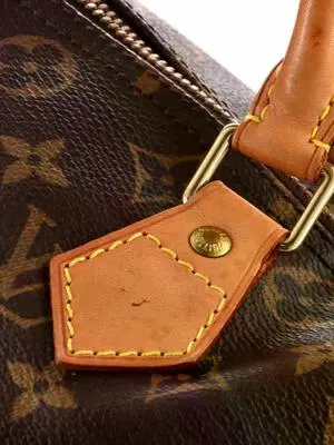 LOUIS VUITTON Speedy Handbag Monogram Canvas 30 Satchel