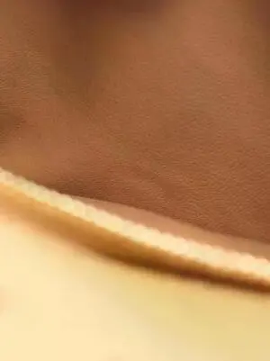 LOUIS VUITTON 2021 Vertical Bi-fold Wallet