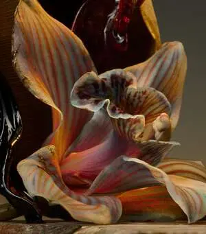 D'ORSAY Vanilla Affair Perfume Extract