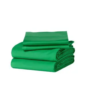 CANADIAN DOWN & FEATHER COMPANY Sheet Set Four Piece, Us Queen / Uk King Grasshopper - Green