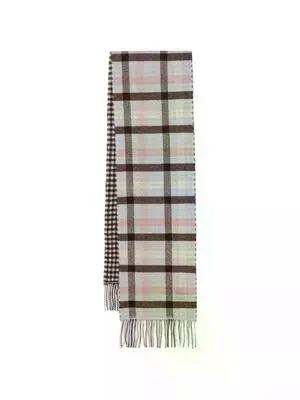 Marc O'polo Check-pattern Fringed Scarf - Blue