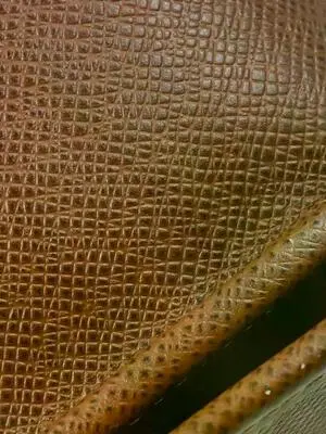 LOUIS VUITTON 2009 Taiga Andrei Shoulder Bag