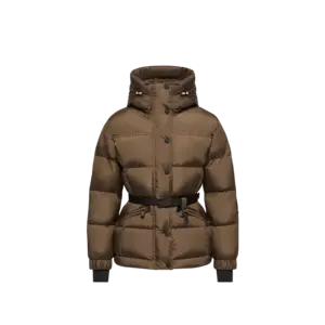 Moncler Salastrains Insulated Ski Jacket - Brown