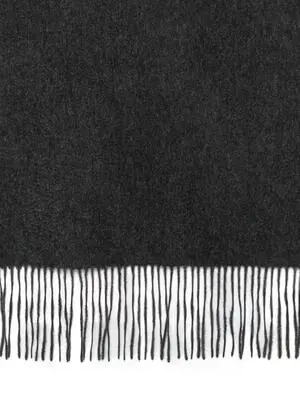 C.T.PLAGE Fringed Cashmere Scarf