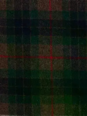 BARACUTA Check-pattern Fringed Scarf - Brown