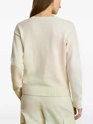 Ralph Lauren Vizsla Sweater