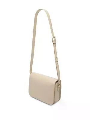 Celine 2024 Classique Shiny Calfskin Triomphe Crossbody Bag