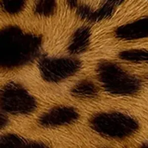 Givenchy Calf Hair Leopard Print Tape Slingback Pumps 85