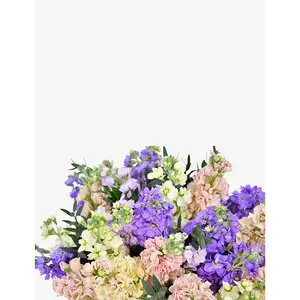 MOYSES STEVENS Mixed Stocks Bouquet