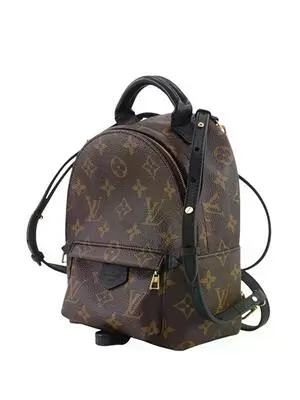 LOUIS VUITTON 2019 Monogram Mini Palm Springs Backpack - Brown