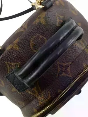 LOUIS VUITTON 2019 Monogram Mini Palm Springs Backpack - Brown