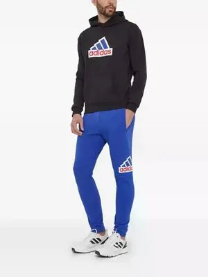 Adidas Future Icons Badge Of Sport Hoodie - Black