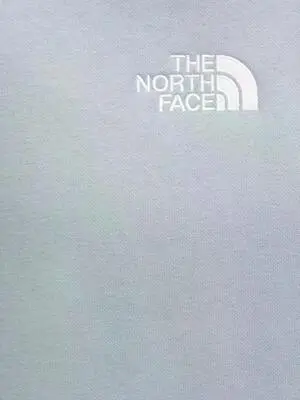 The North Face Essential Hoodie