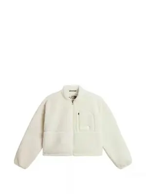 The North Face Extreme Pile 2 Jacket - Neutrals