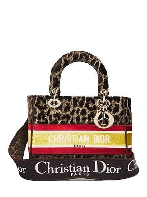 Dior Lady D-Lite Handbag Multi