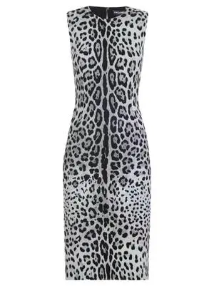 Dolce & Gabbana Animal-print Midi Dress - White