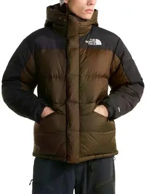 The North Face Hmlyn Down Parka Brown