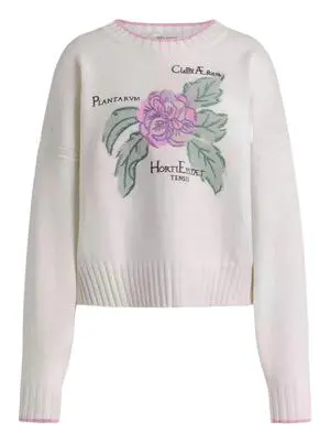 Alberta Ferretti Floral Knit Jumper - Neutrals