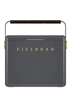FIELDBAR Gin Trunk Cooler Box With Hoop Handle - Grey