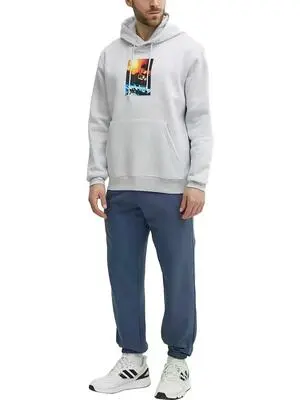 Adidas Graphic Hooded Sweatshirt Grey