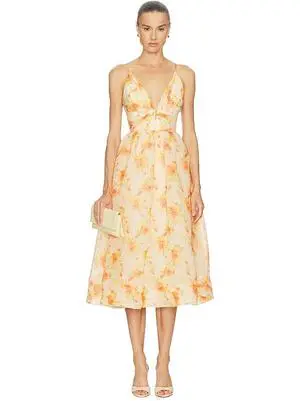 Astr The Label ASTR The Label Janna Dress Orange