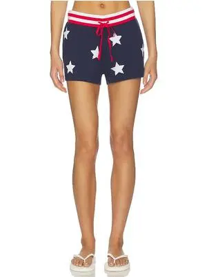 Beach Riot Balboa Short - Navy