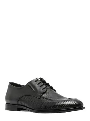 ALBERTO GOZZI Perforated Derby Shoes - Black