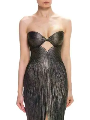 MARIA LUCIA HOHAN Maria Lucia Hohan Stephanie Strapless Cut-Out Pleated Maxi Dress Brown