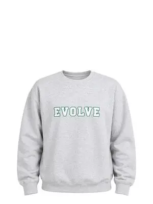 NOOLTRENDS Evolve Varsity Embroidered Sweatshirt Gender Neutral - Grey