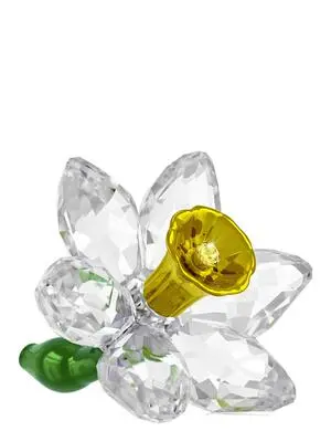 SWAROVSKI Florere Daffodil - Multicoloured