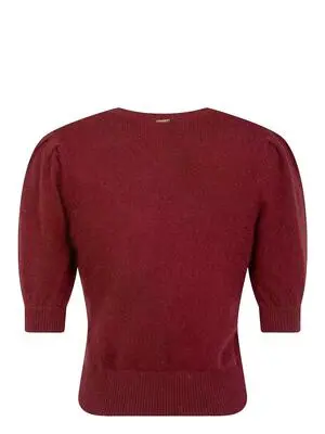 TWINSET Feather-embellished Short-sleeve Sweater - Brown