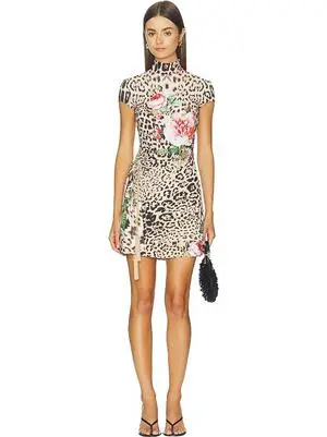 Roberto Cavalli Dress In . Also - Multi