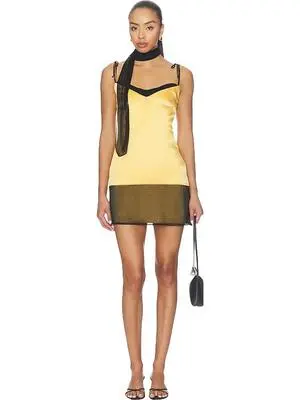 BUCI Chinchilla Mini Dress In . Also - Yellow