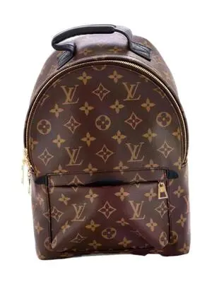 LOUIS VUITTON Palm Springs Monogram Canvas Pm Backpack - Brown