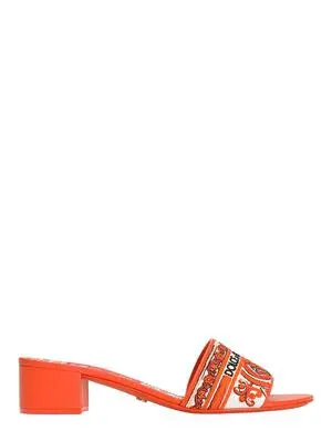 Dolce & Gabbana Ciabatta Flat Slides And Mules - Multicolor