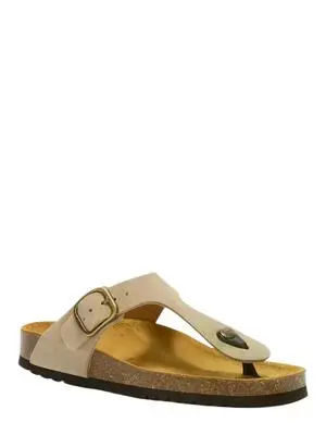 DR. SCHOLL'S SHOES Anais Buckle-fastening Suede Sandals - Neutrals