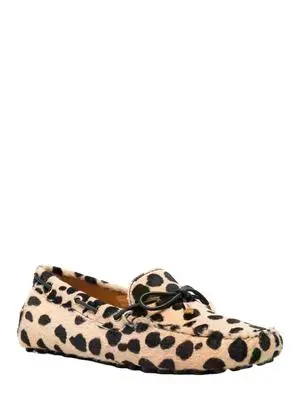 TOD'S Tod's Animalier Gommino Loafers Brown