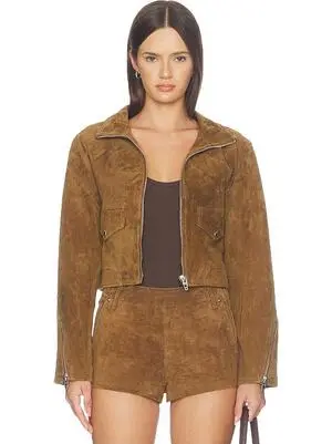 Blanknyc Suede Moto Jacket - Brown