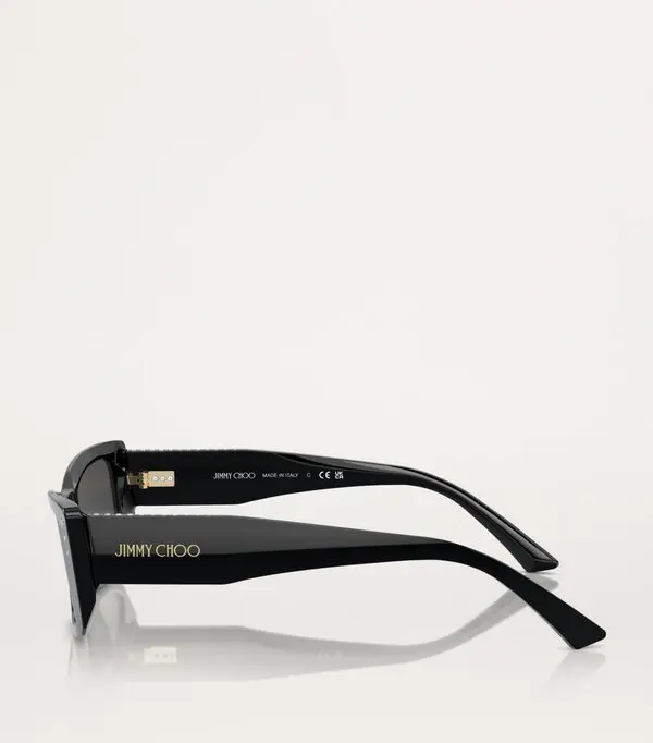 JIMMY CHOO Acetate Rectangle Sunglasses - Black