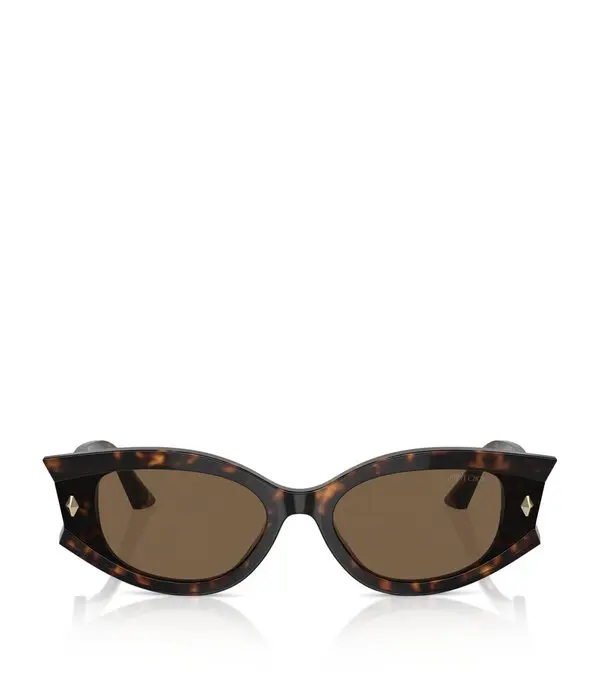 JIMMY CHOO Acetate Cat Eye Sunglasses - Brown